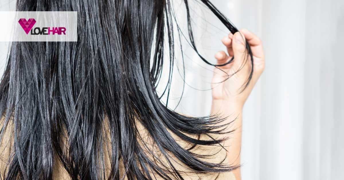 Γιατί λαδώνουν τα μαλλιά μου; Αιτίες και λύσεις για λιπαρότητα - LoveHair
